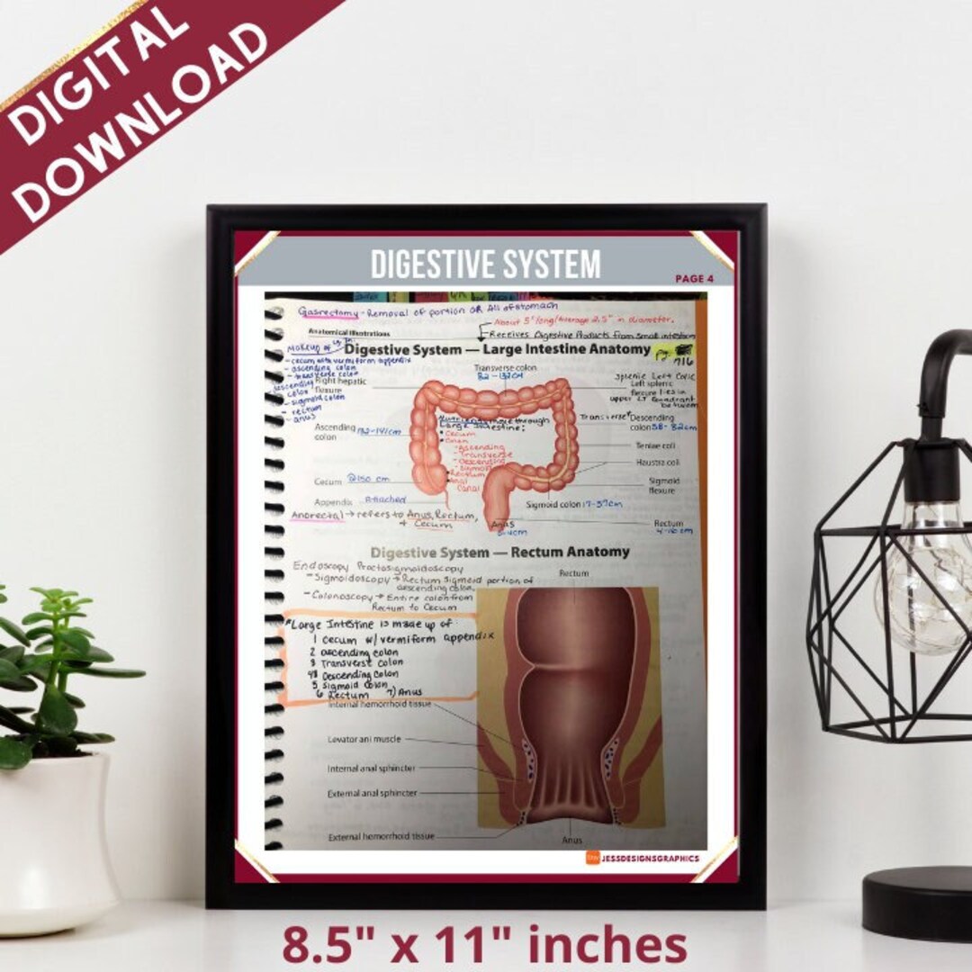 Marking ICD-10 Anatomical Illustrations | 22 Page Reference Guide ...