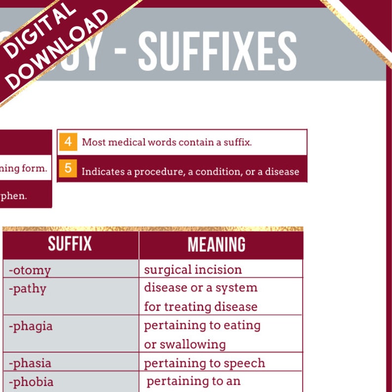 Medical Terminology Suffixes | Medical Coding | Nursing | Instant ...