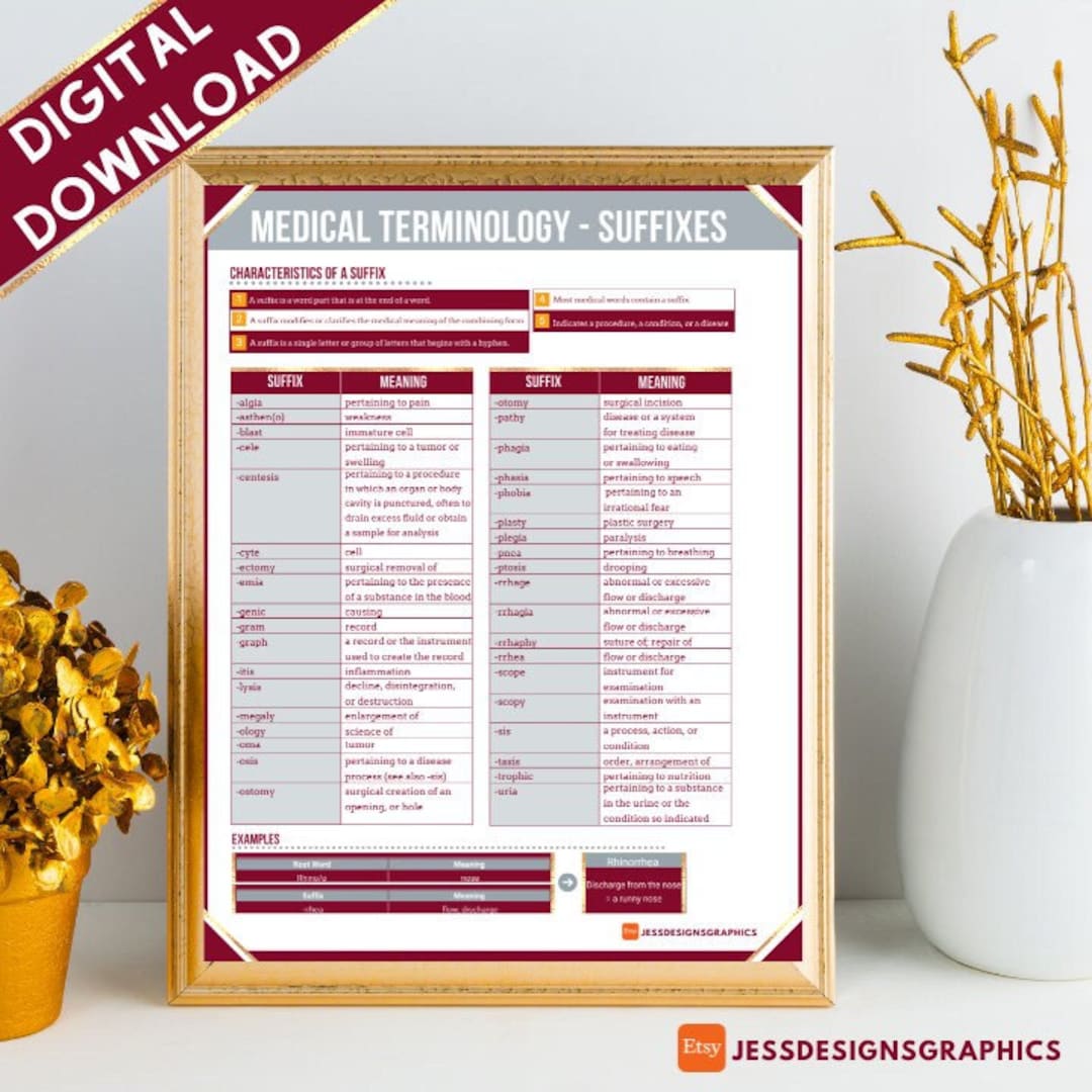 Medical Terminology Suffixes | Medical Coding | Nursing | Instant ...