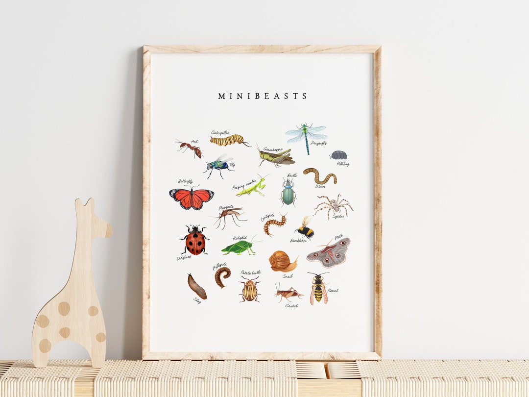 Minibeasts Print DIGITAL DOWNLOAD Nursery Decor Insects Bugs and ...
