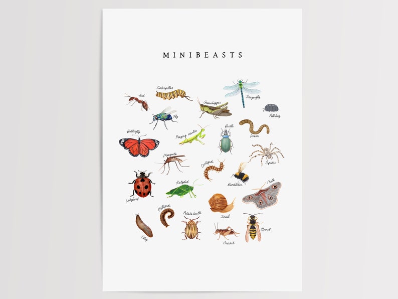 Minibeasts Print | PHYSICAL PRINT | Nursery Decor | Insects Bugs and ...