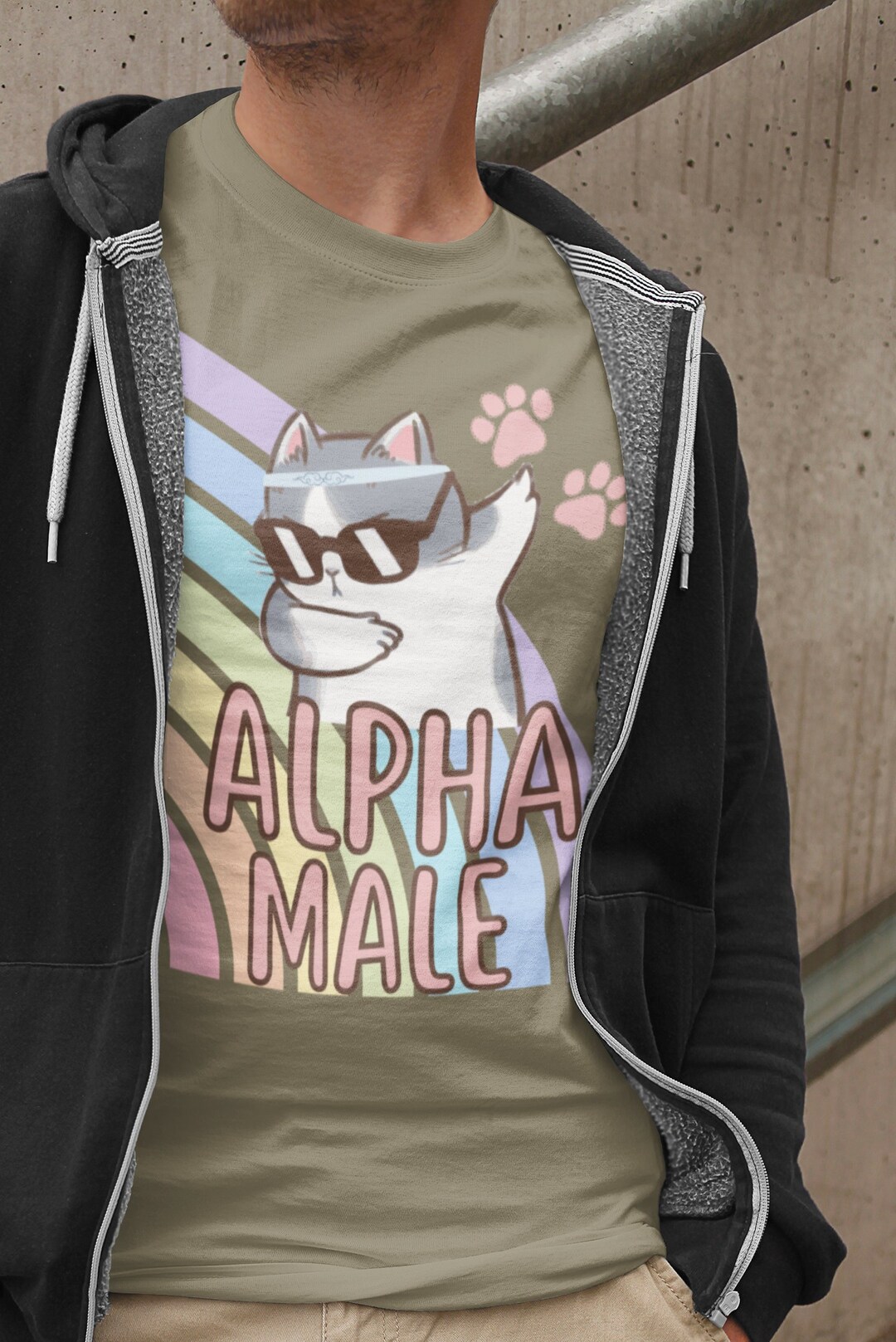 Ironic Alpha Male Cat Rainbow, Funny Unisex Tshirt, Bella Canvas Tee ...