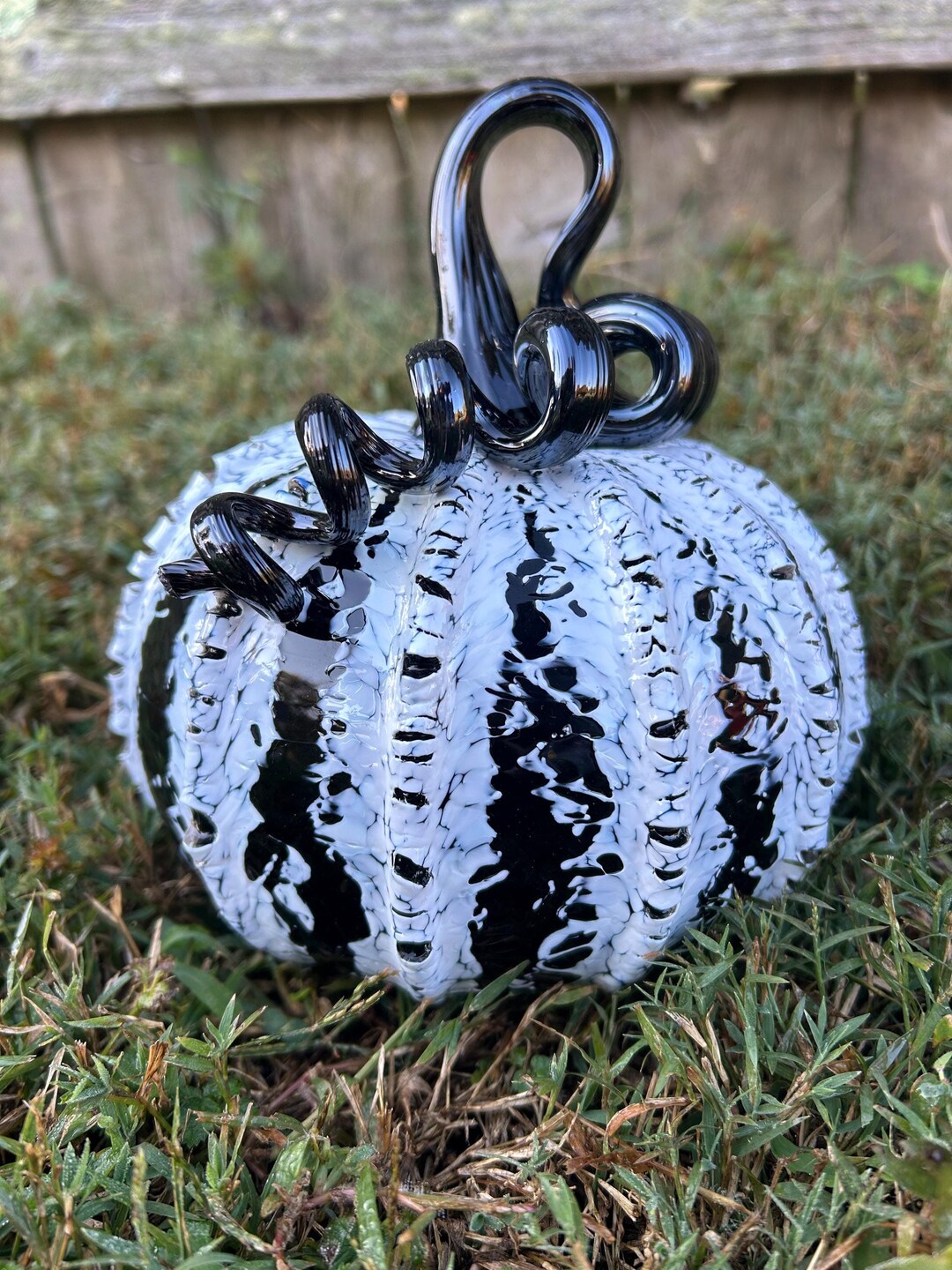 Black + White Handblown Glass Pumpkin - Large Handblown Glass Pumpkin - Crackle Glass Pumpkin - Etsy