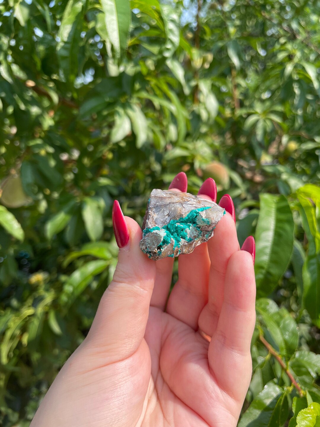 Raw Dioptase Cluster Mineral Crystal Specimen 17 - Etsy