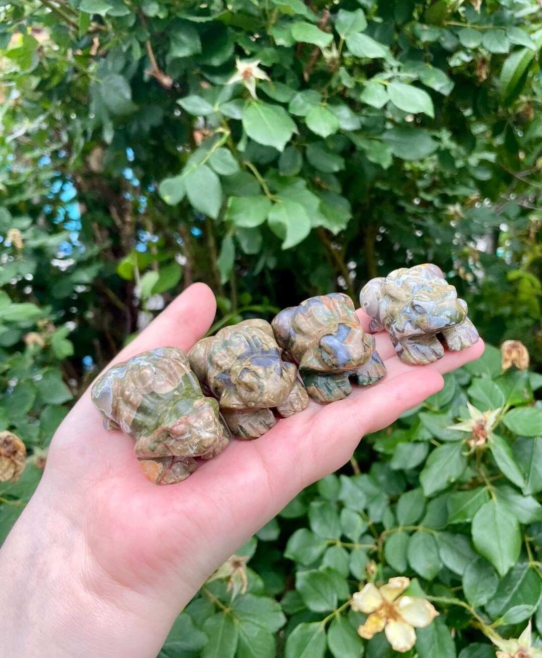 Rainforest Jasper Carved Crystal Frog - Etsy