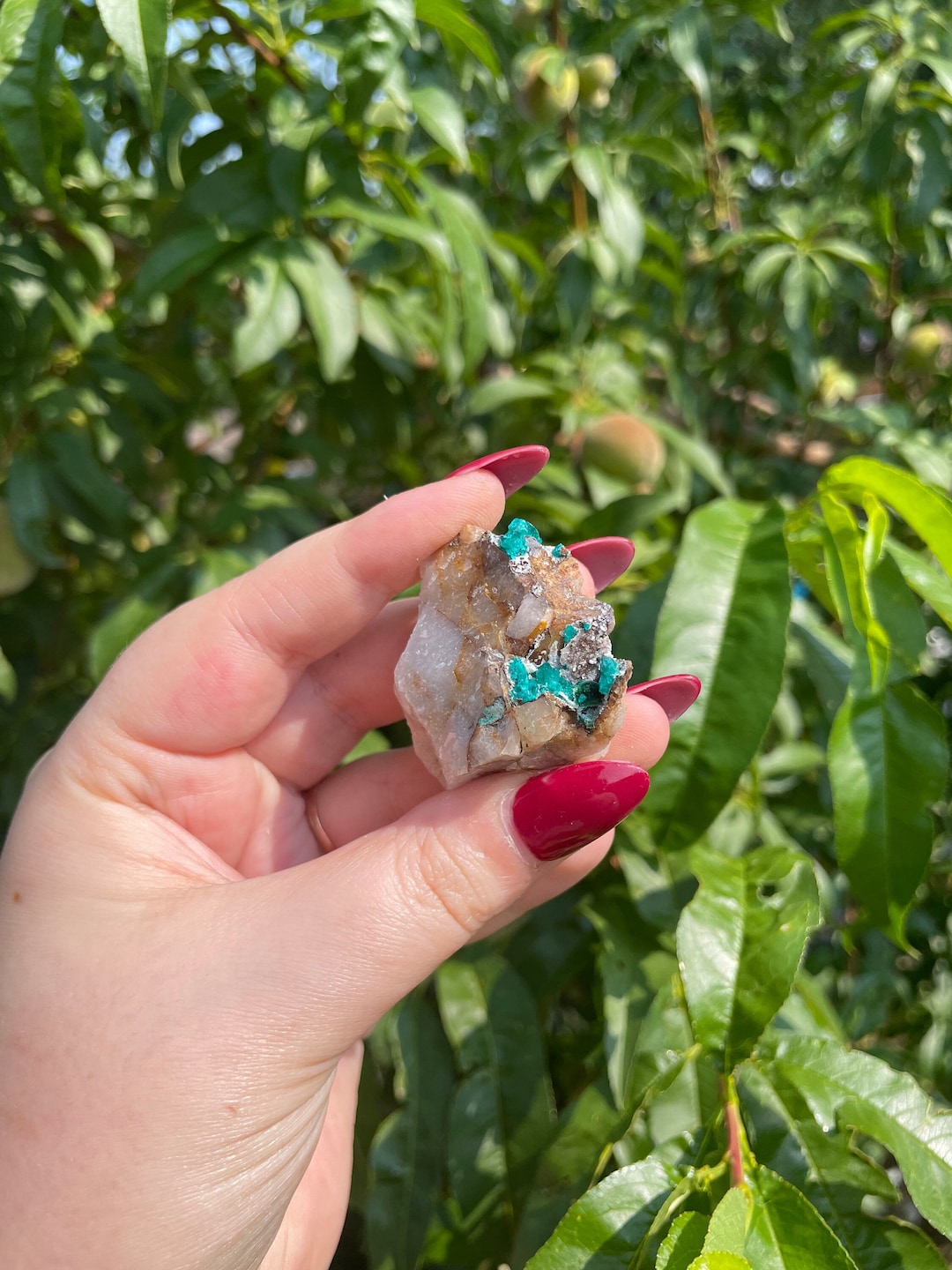 Raw Dioptase Cluster Mineral Crystal Specimen 24 - Etsy