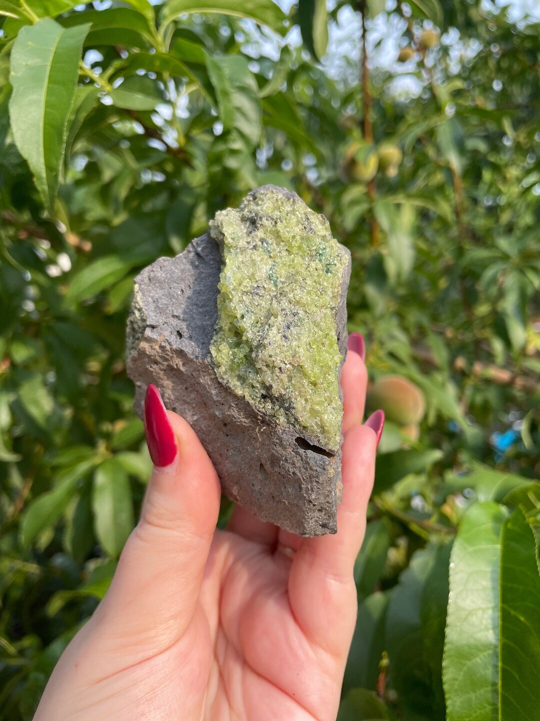 Raw Peridot in Basalt Crystal Cluster Specimen 1 - Etsy