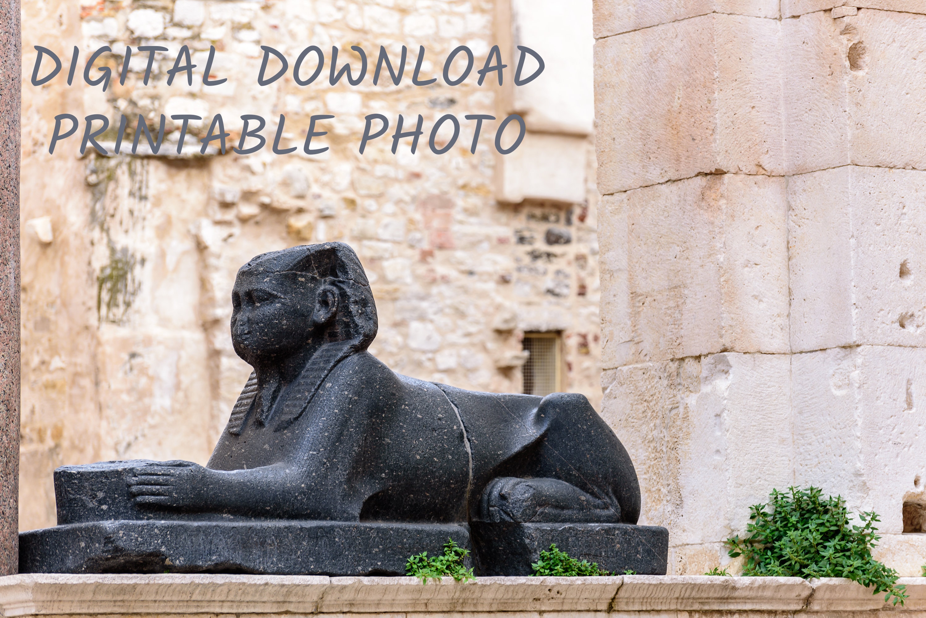 Digital Download Printable Photo Egyptian Sphinx in Diocletian's Palace ...