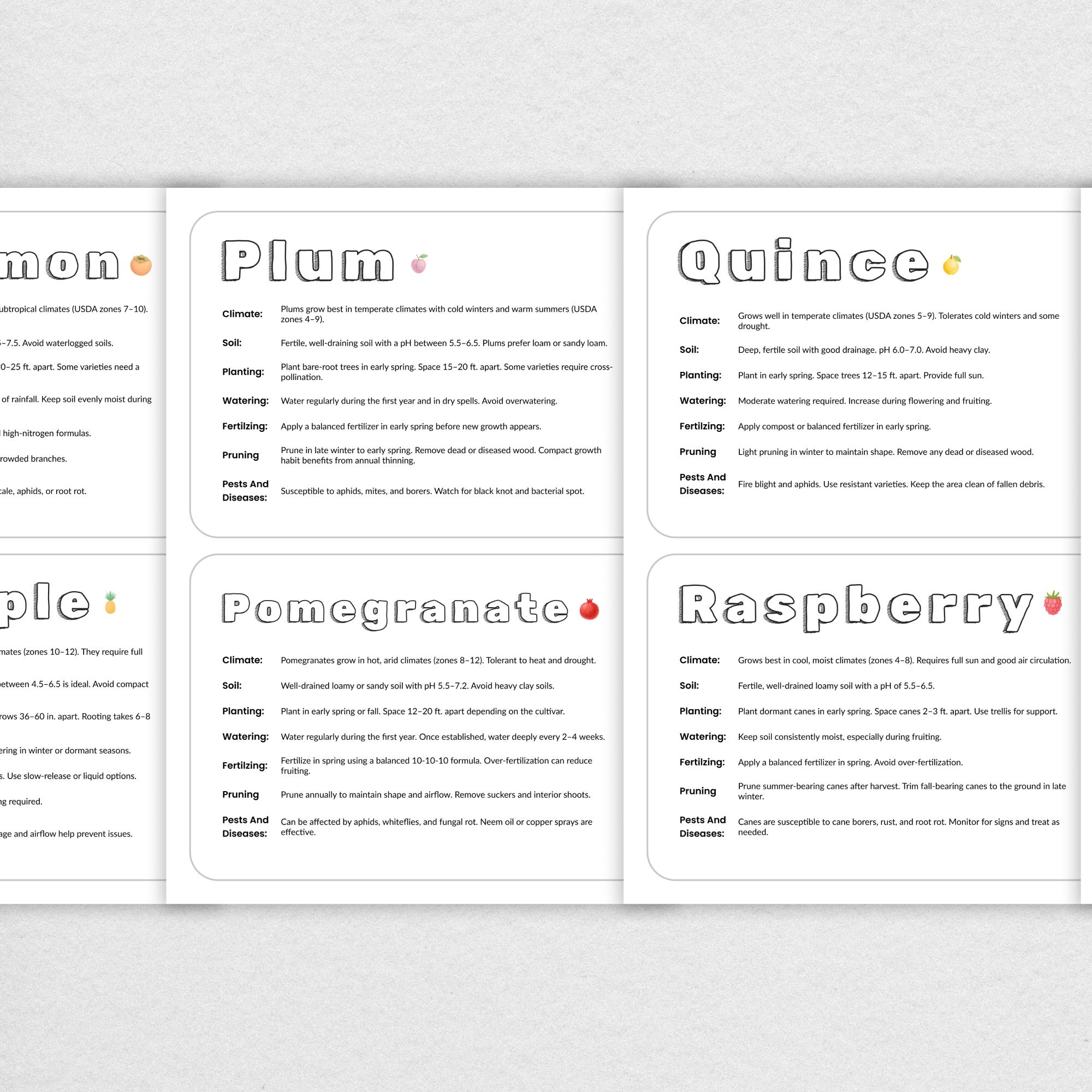 Printable Fruit Growing Guide | 50 Illustrated Cards | Editable Garden ...