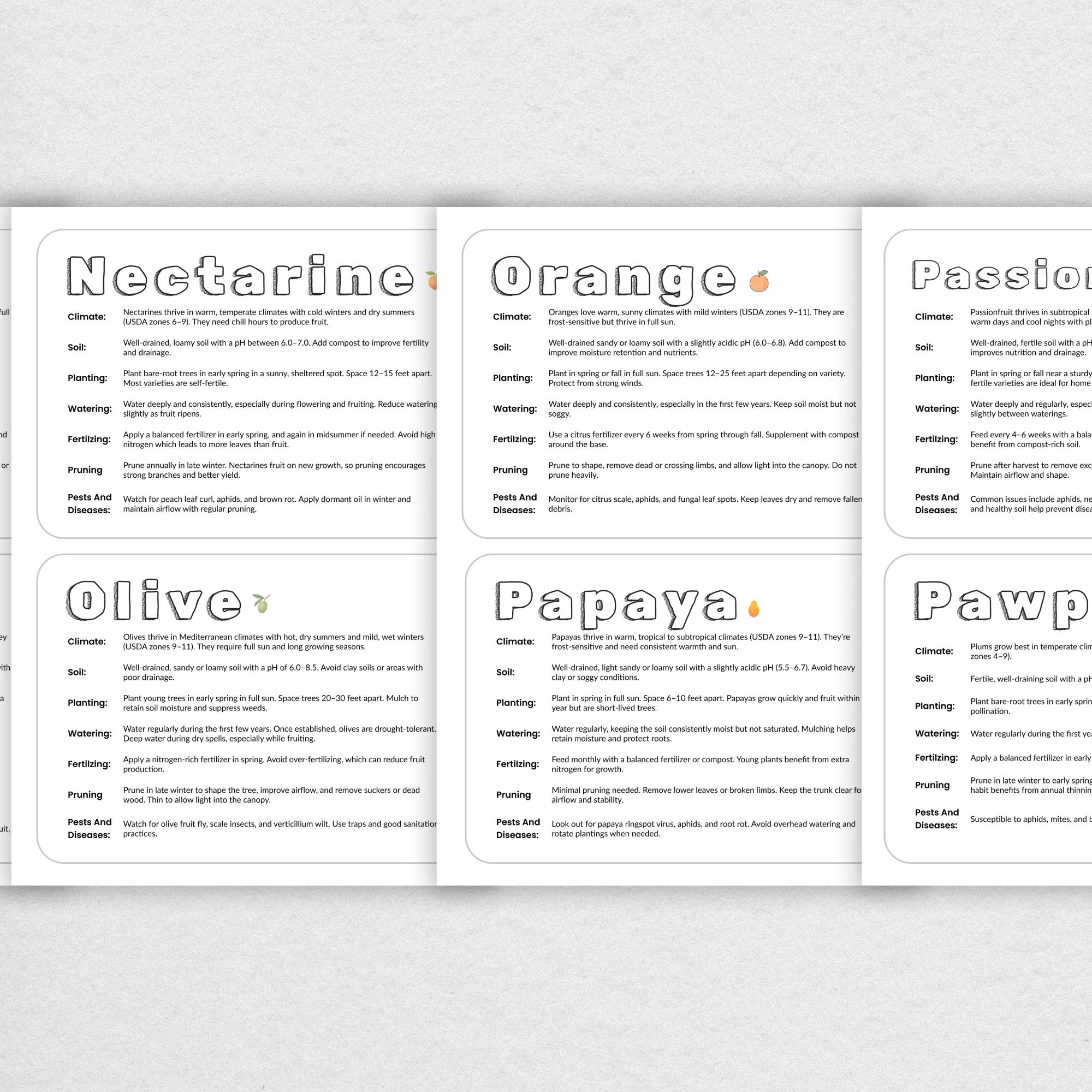 Printable Fruit Growing Guide | 50 Illustrated Cards | Editable Garden ...
