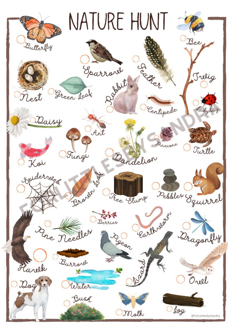 Printable Nature Hunt for Preschoolers and Kids Great - Etsy