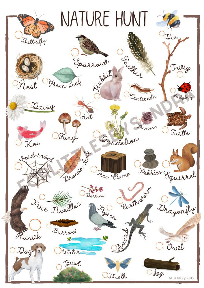 Printable Nature Hunt for Preschoolers and Kids - Great Outdoor ...