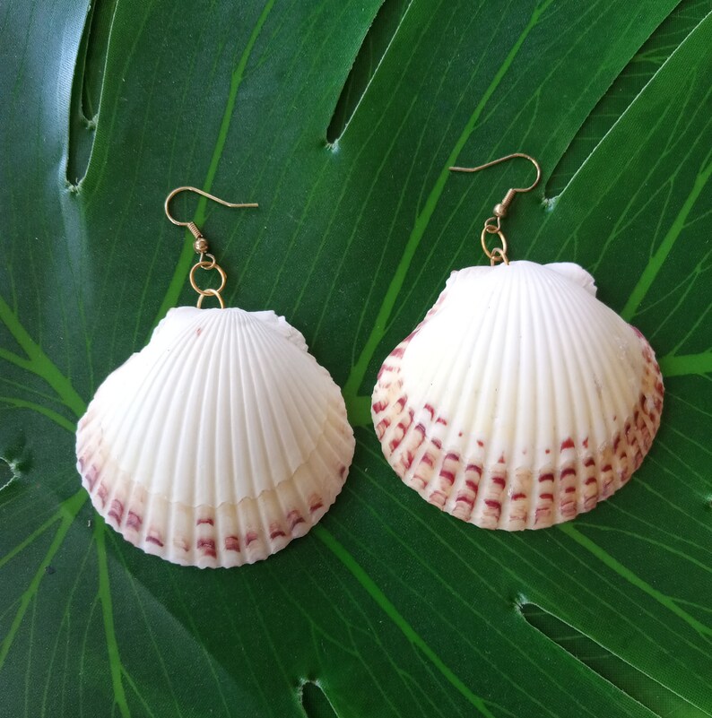 Handcrafted Seashell Earrings From the Beach, Natural Unique Jewelry ...