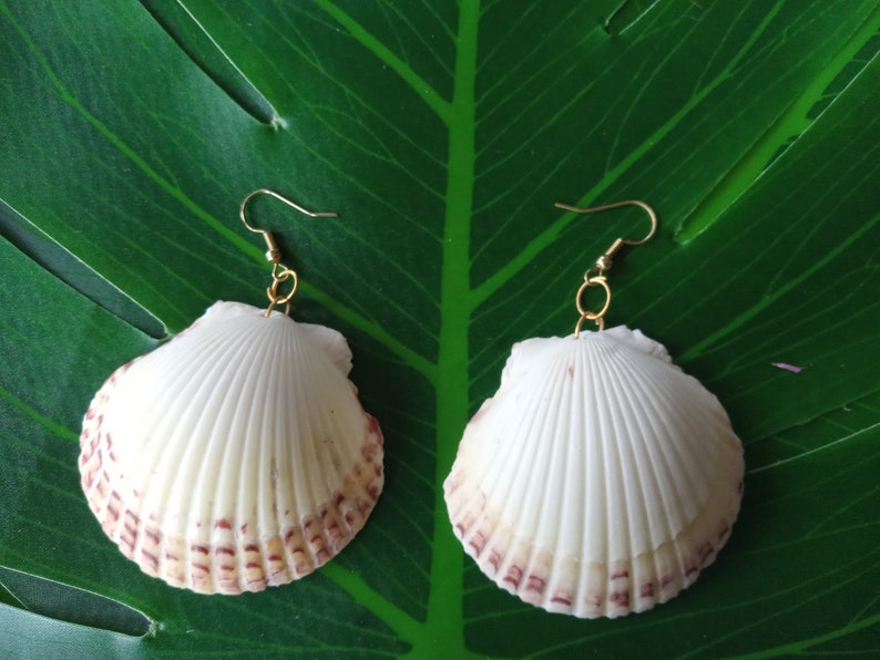 Handcrafted Seashell Earrings From the Beach, Natural Unique Jewelry ...