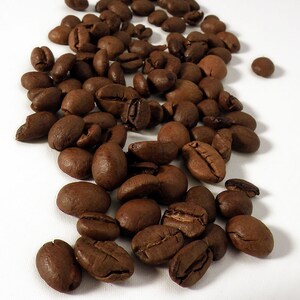 Coffee Seeds (coffea Arabica) X 10 Seeds - Etsy UK