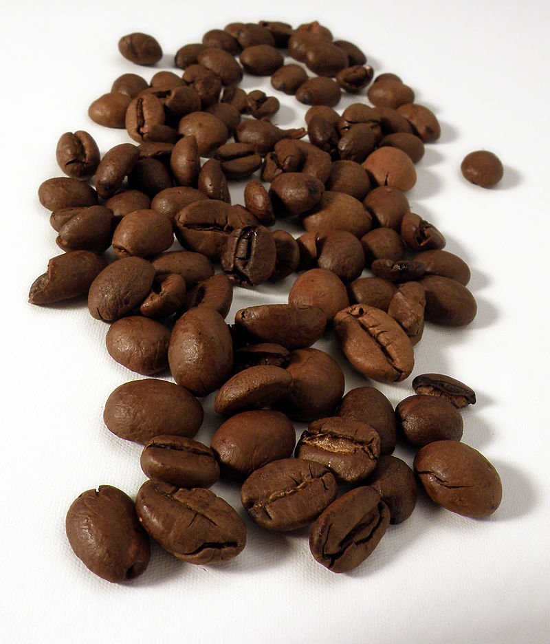 Coffee Seeds (coffea Arabica) X 10 Seeds - Etsy UK