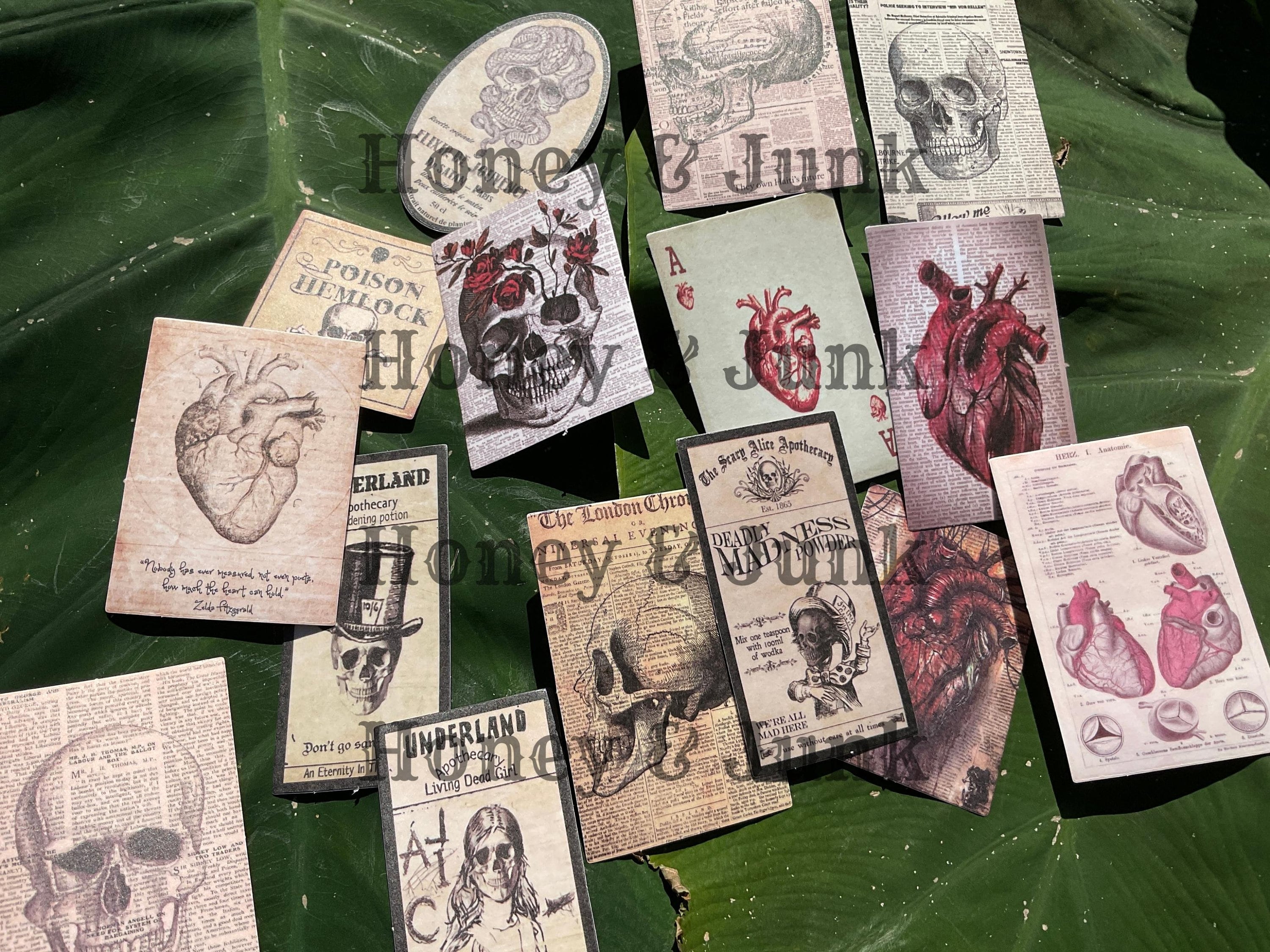 15 Pc Vintage Gothic Apothecary Labels -ephemera Magical Halloween ...