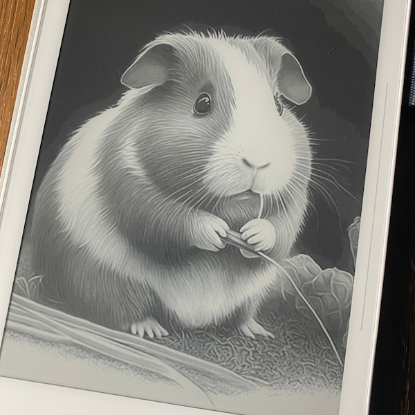 Supernote Wallpaper - Etsy