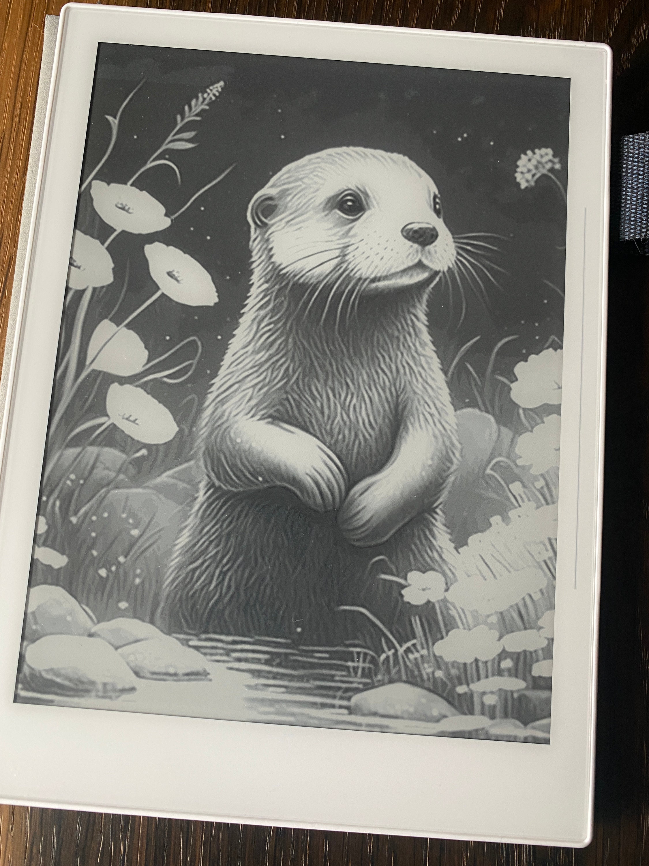 Screensavers / Notebook Covers for E-ink Tablets - Supernote, Boox Note ...