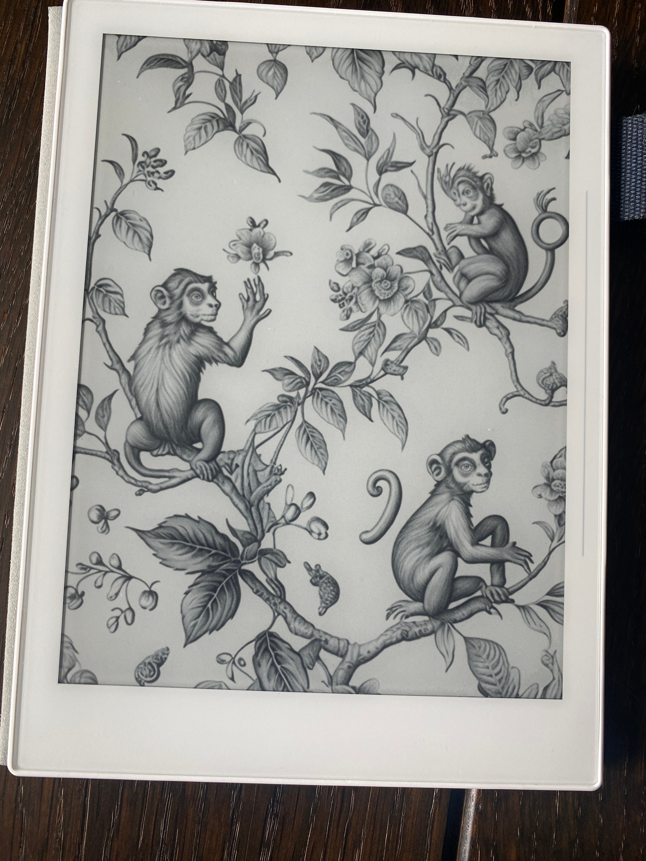 Screensavers / Notebook Covers for Supernote, Boox Note, Etc ...