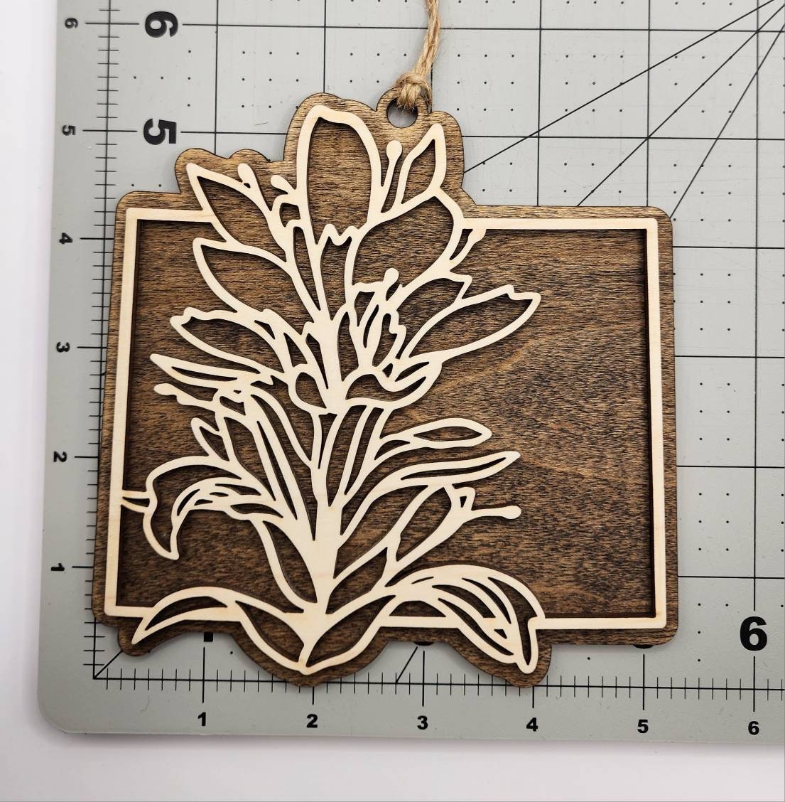 Wyoming State Flower Ornament, Indian Paintbrush Christmas Ornament ...