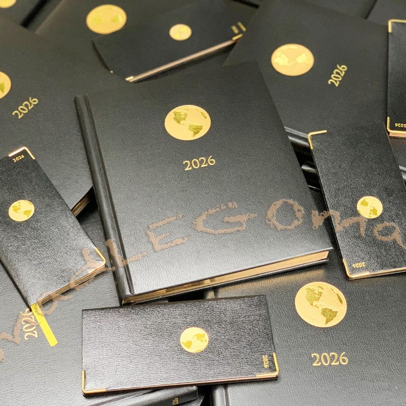 Pocket 2026 Daily Planner - Etsy