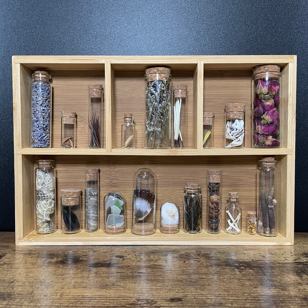 Collection of 20 Oddities in Table Top Shelf | Oddity | Curiosity ...