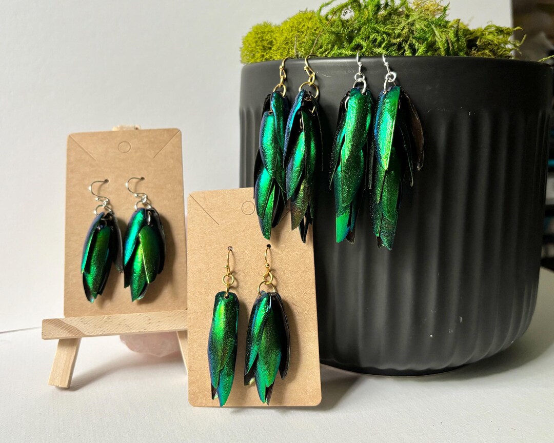 Beetle Wing Earrings | Jewel Beetle Wings | Oddities | Curiosities ...