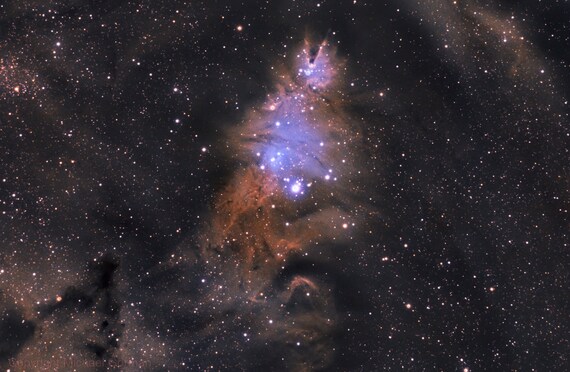 NGC2264 Christmas Tree & Cone Nebula Glossy Print | Etsy
