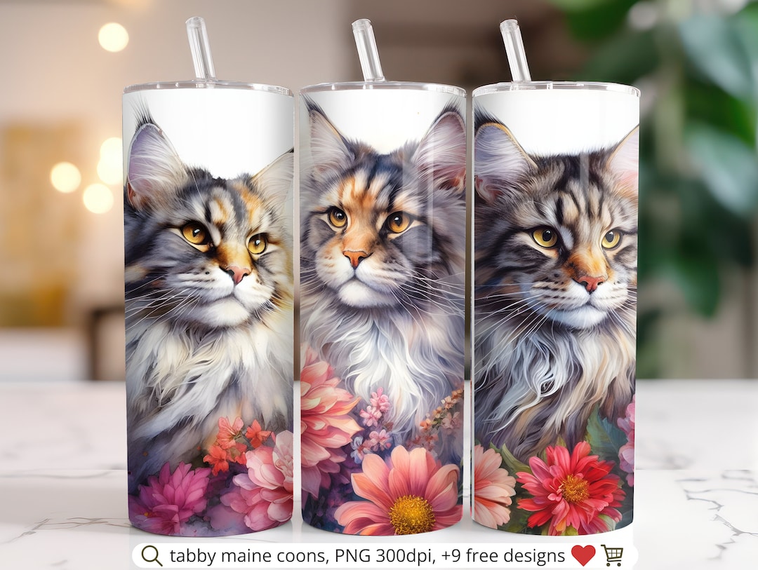 Maine Coon Cat Tumbler Wrap 20oz Tumbler Sublimation Design - Etsy