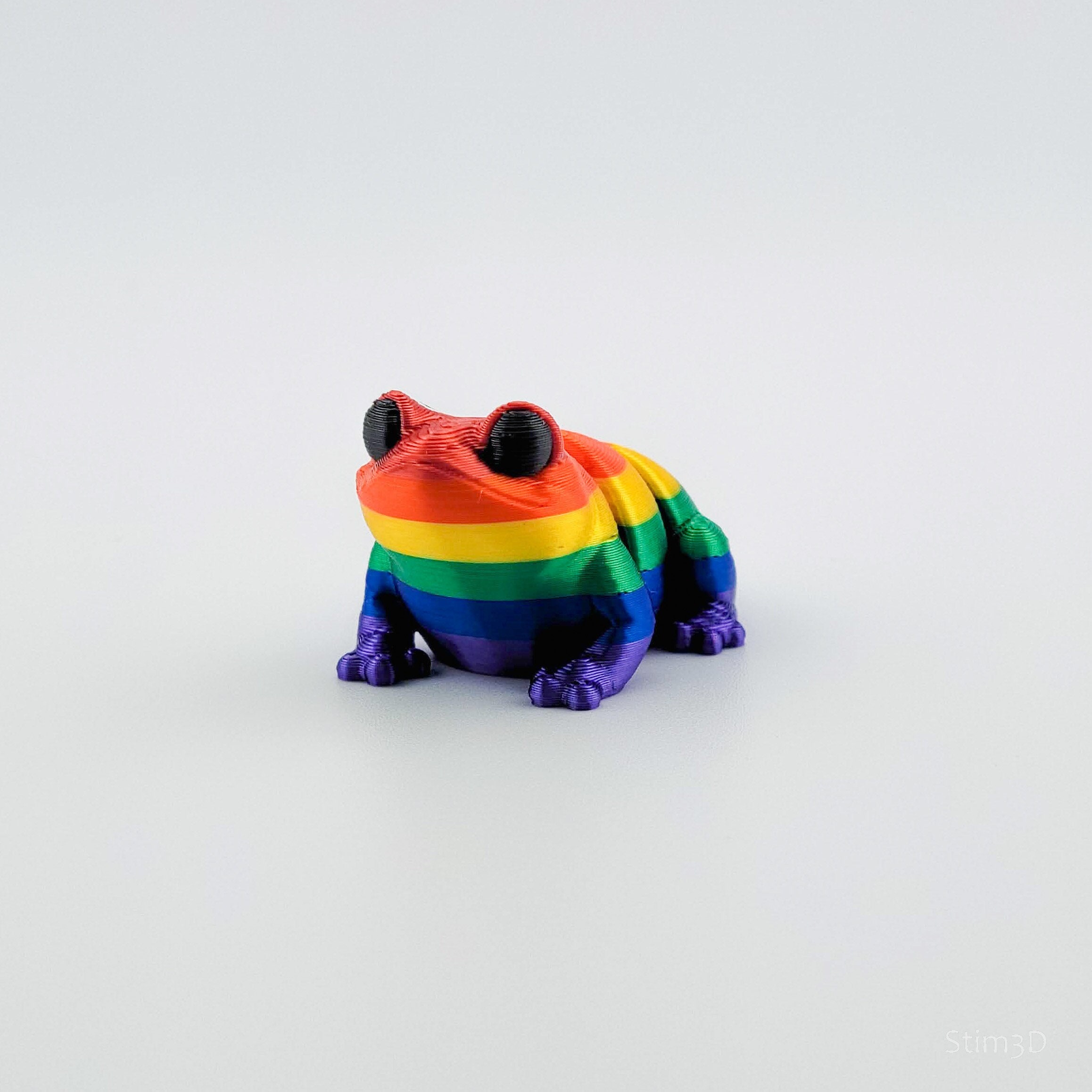 Pride Frog, Fidget Frog, Rainbow Pride Frog Toy, Articulated Sensory ...