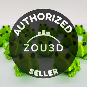 Fidget Frog Fidget Toy, Articulated Sensory Toy, Tiny Frogs, Flexible ...