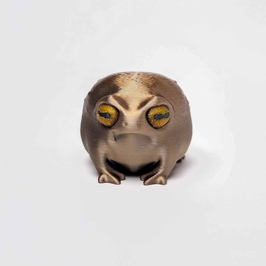 Grumpy Frog Desk Toy, Rain Frog Fidget Toy, Office Gift, Tiny Fidget ...