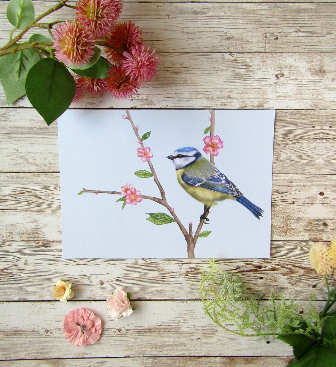 Blue Tit Bird Print, Illustrated Bird Print, Bird Art, A5 Print, Home ...