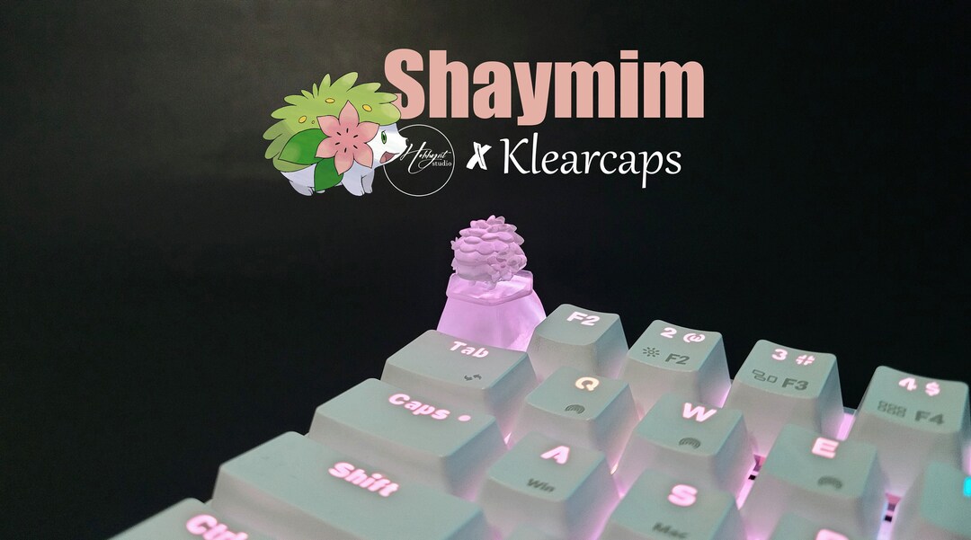 SHAYMIM (LANDFORM) | Keycap | Clear - Etsy