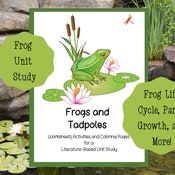 Life Cycle of a Bean Plant Foldable Kids' Craft Science Activity A4 and ...