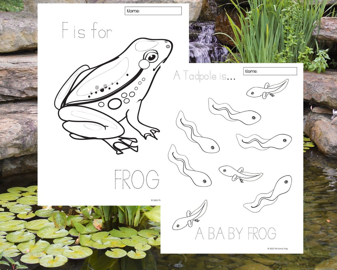 Printable Frogs and Tadpoles Literature-based Unit Study, Frog Life ...