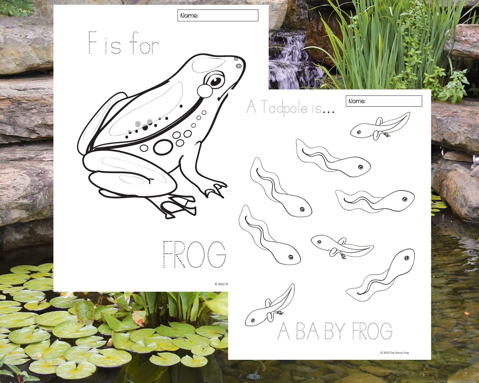 Printable Frogs and Tadpoles Literature-based Unit Study, Frog Life ...