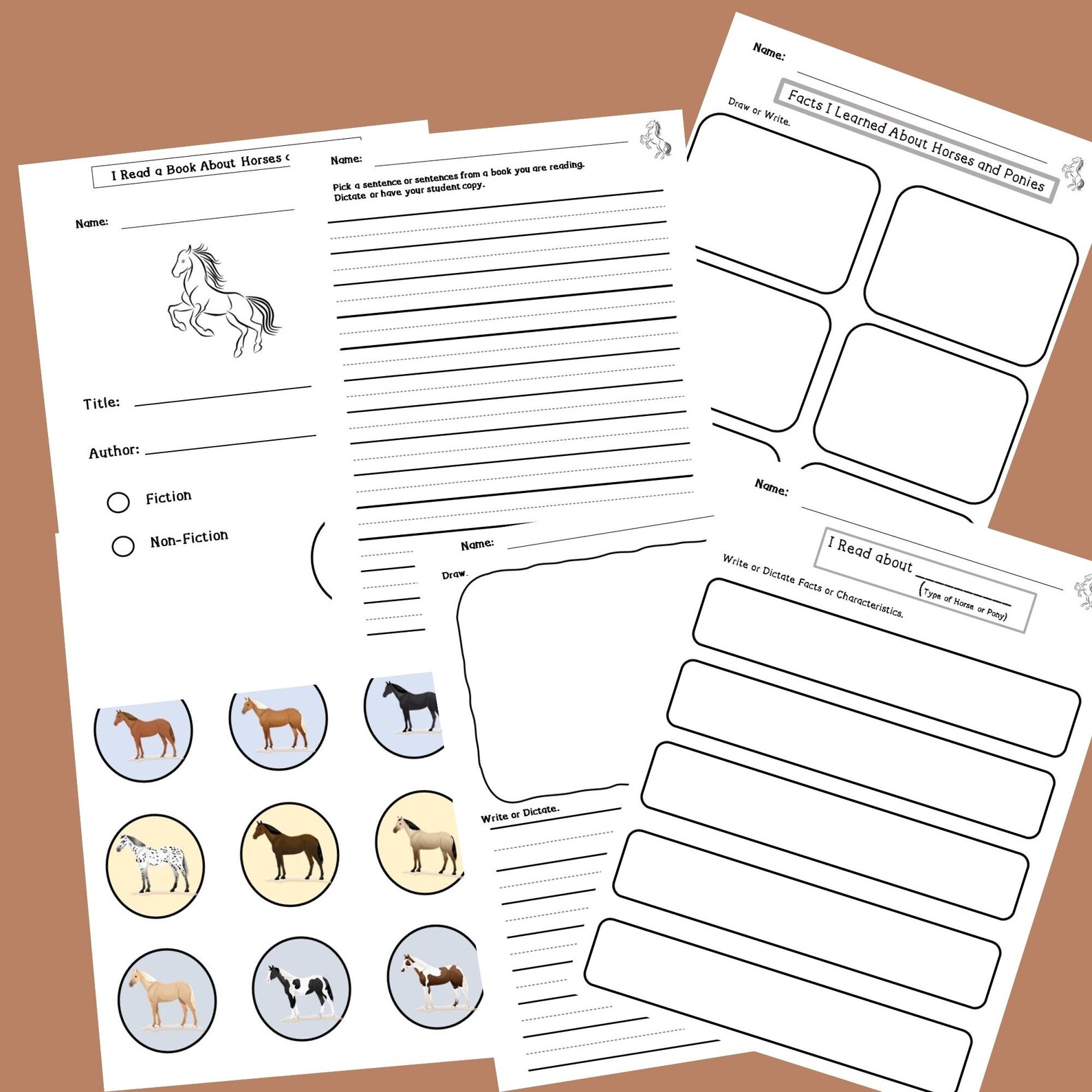 Printable Horses and Ponies Unit Study Worksheets and | Etsy