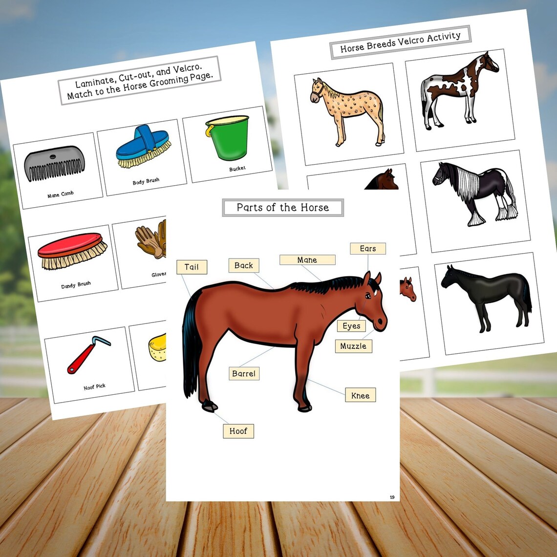 Printable Horses and Ponies Unit Study, Literature-based Unit Study ...