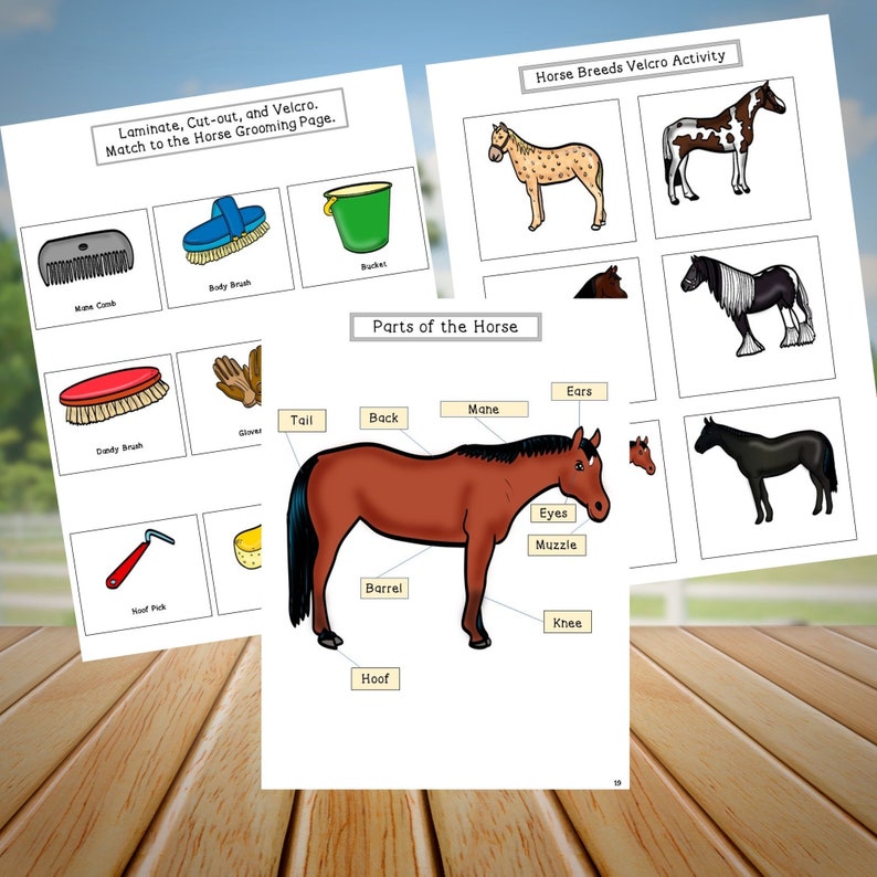 Printable Horses and Ponies Unit Study, Literature-based Unit Study ...