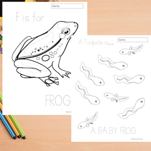 Printable Frogs and Tadpoles Literature-based Unit Study, Life Cycle ...