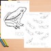 Printable Frogs and Tadpoles Literature-based Unit Study, Life Cycle ...