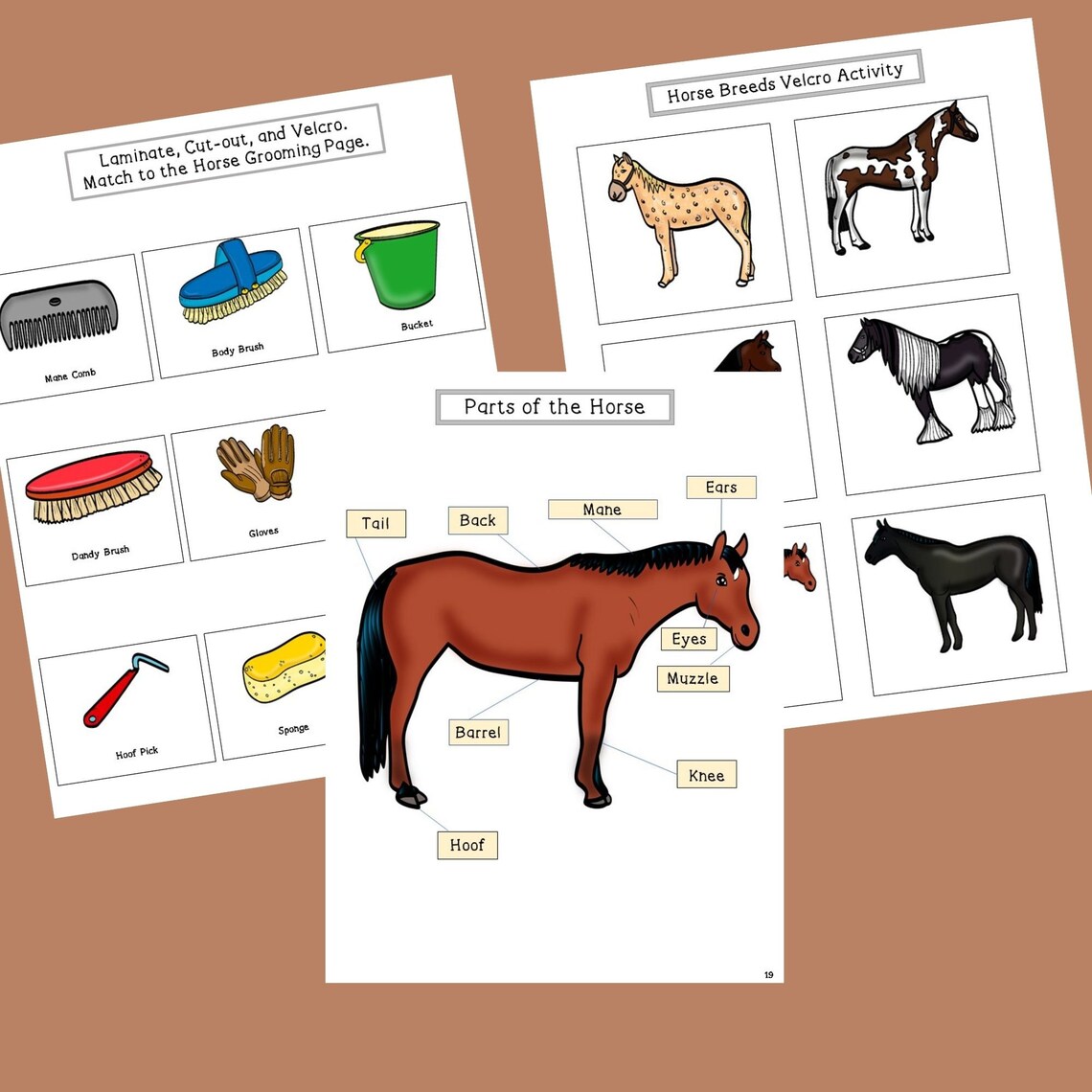 Printable Horses and Ponies Unit Study Worksheets and | Etsy