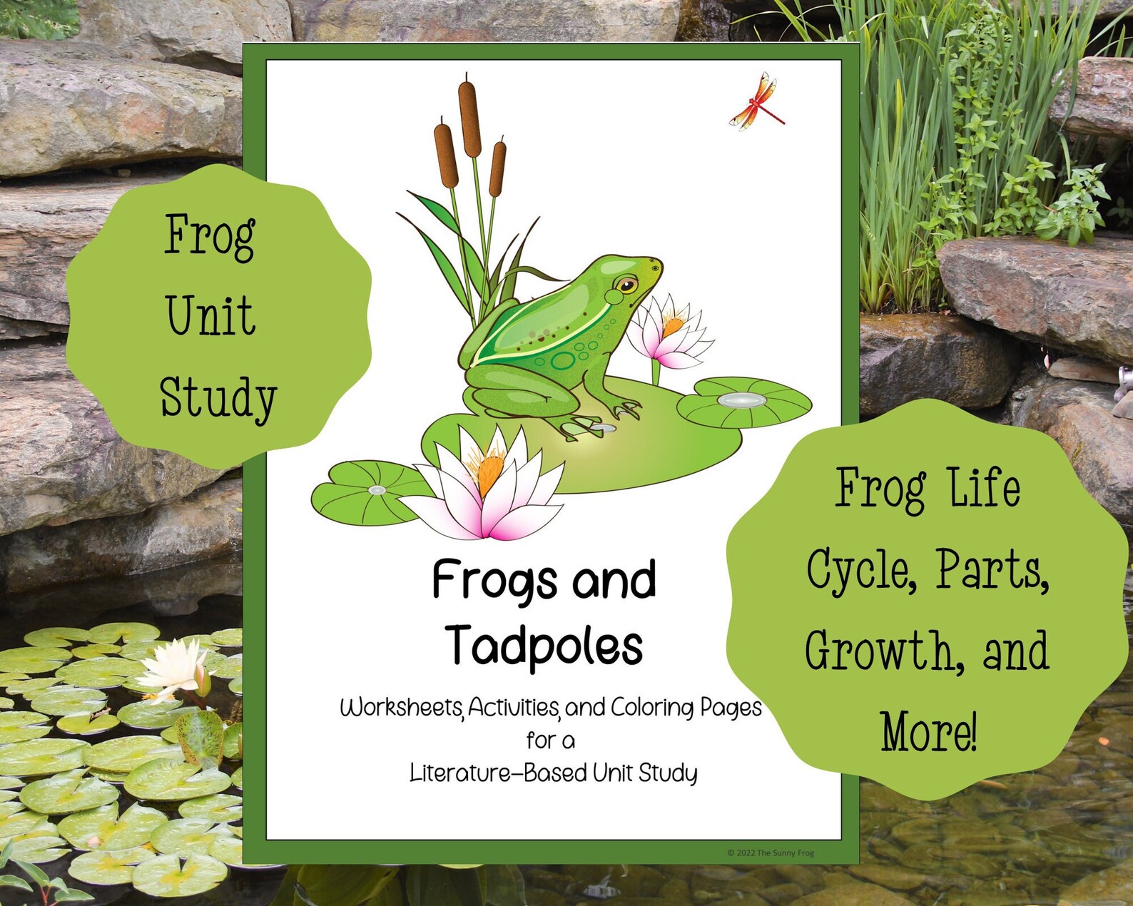 Printable Frogs and Tadpoles Literature-based Unit Study, Frog Life ...