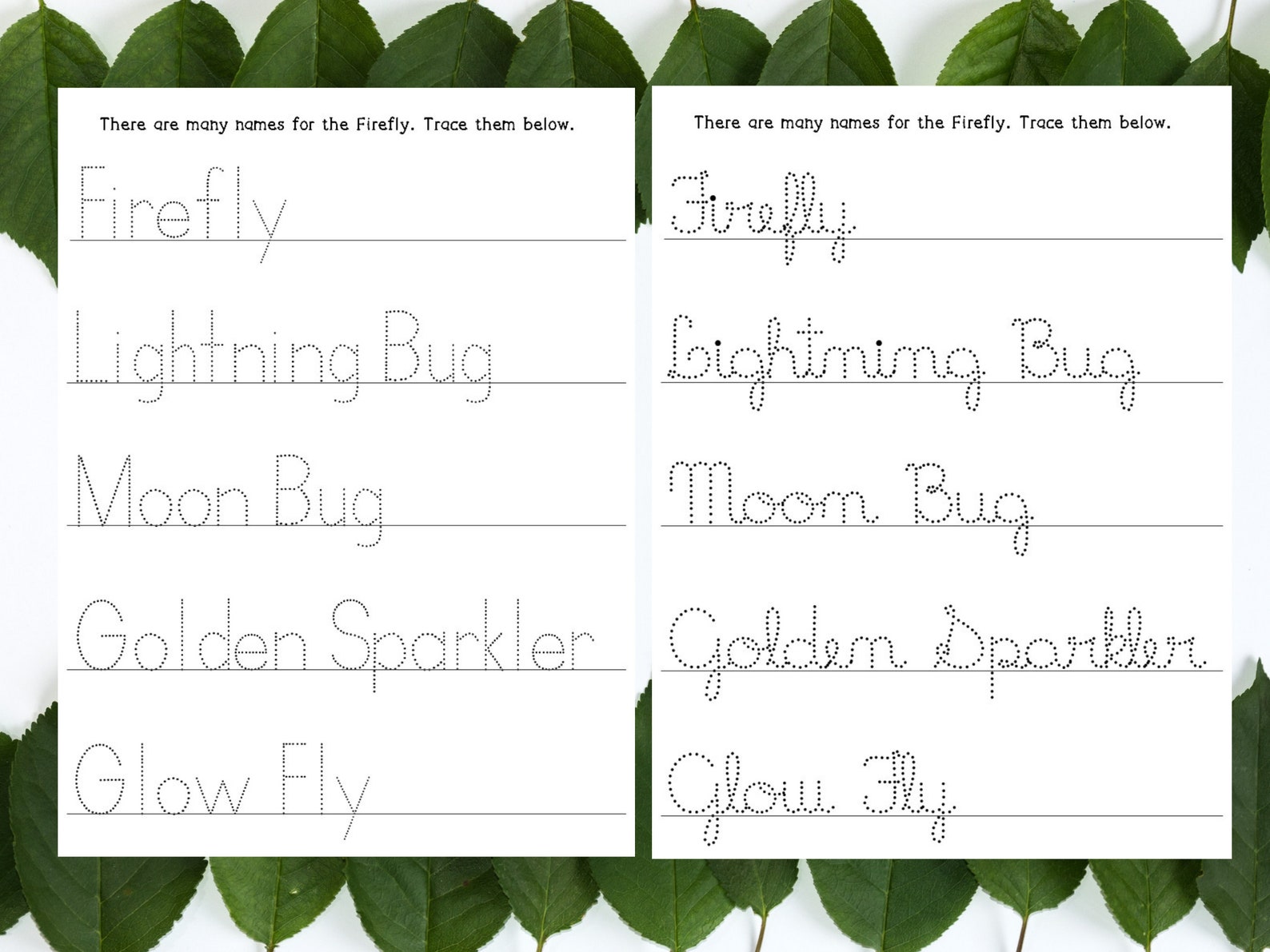 Printable Firefly Unit Study, Summer Learning Activities Lightning Bug ...