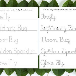 Printable Firefly Unit Study, Summer Learning Activities Lightning Bug ...
