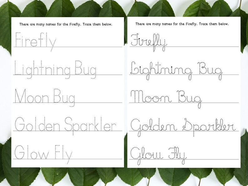 Printable Firefly Unit Study, Summer Learning Activities Lightning Bug ...