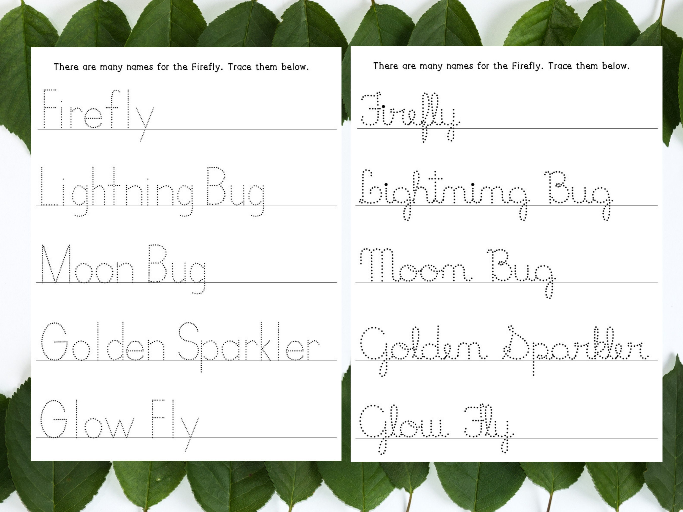 Printable Firefly Unit Study, Summer Learning Activities Lightning Bug ...