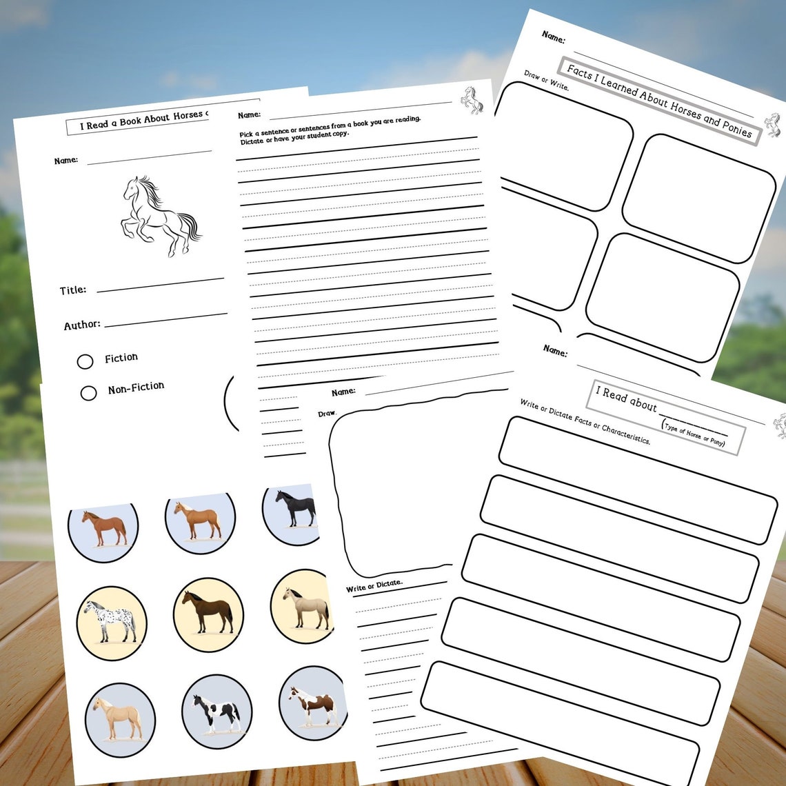 Printable Horses and Ponies Unit Study, Literature-based Unit Study ...